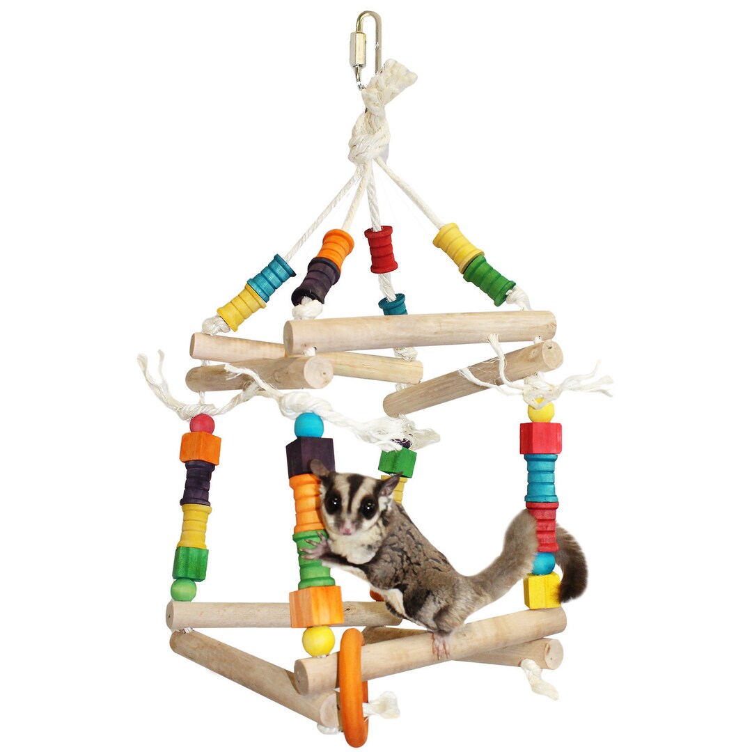Jungle Gym Fun & Unique Toy Sugar Glider, Rat, Chinchilla, Hedgehog ...