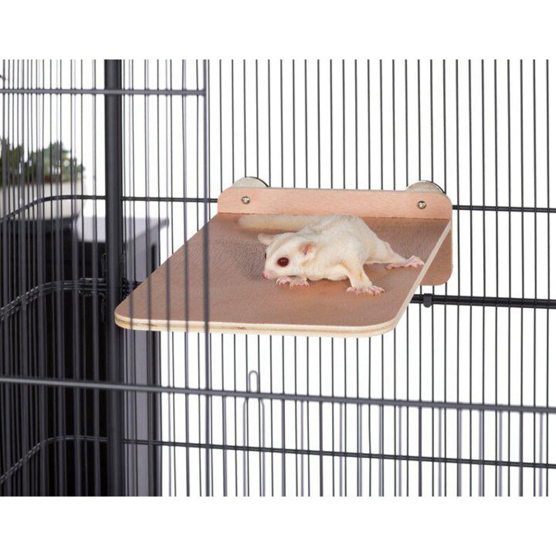 Wood Platform Set 3 Pack Natural Cage Accessory Perch - Etsy