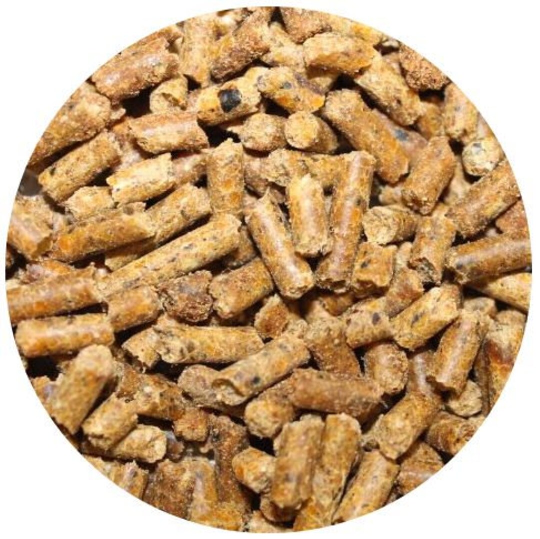 Premium Skunk Diet Healthy Natural Pellet Diet Nutritionally Complete ...