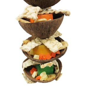 Coconut Accessory Bundle Fun & Unique Toy Set Sugar - Etsy