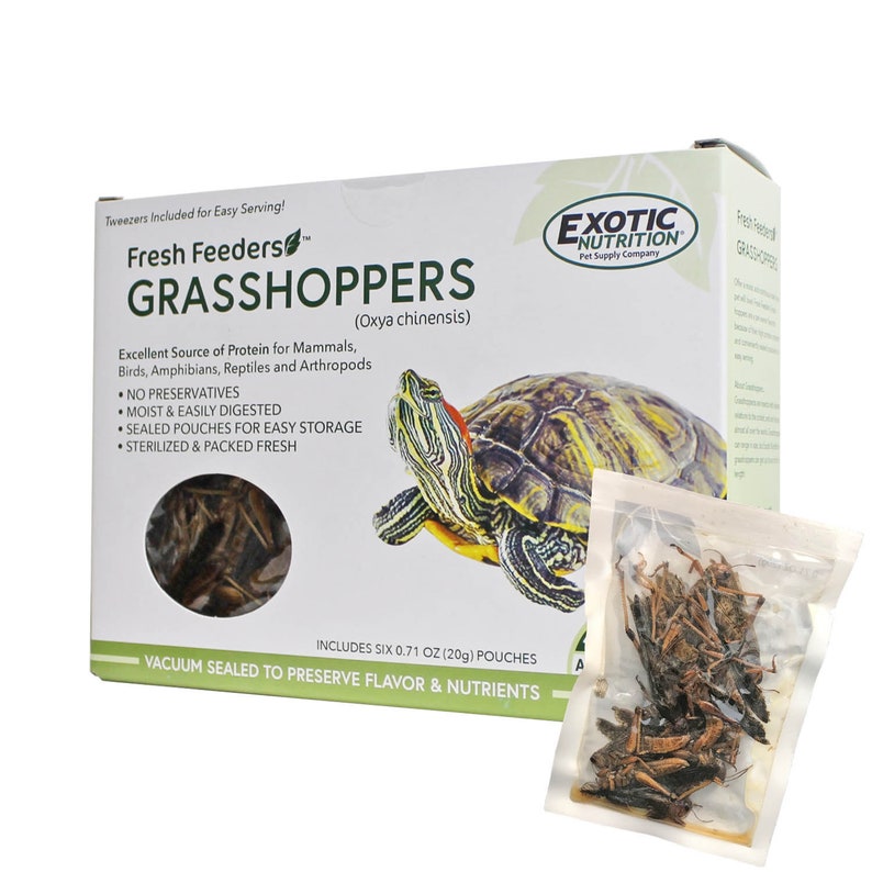 Fresh Feeders Moist Insects Easy to Feed Mess-free - Etsy