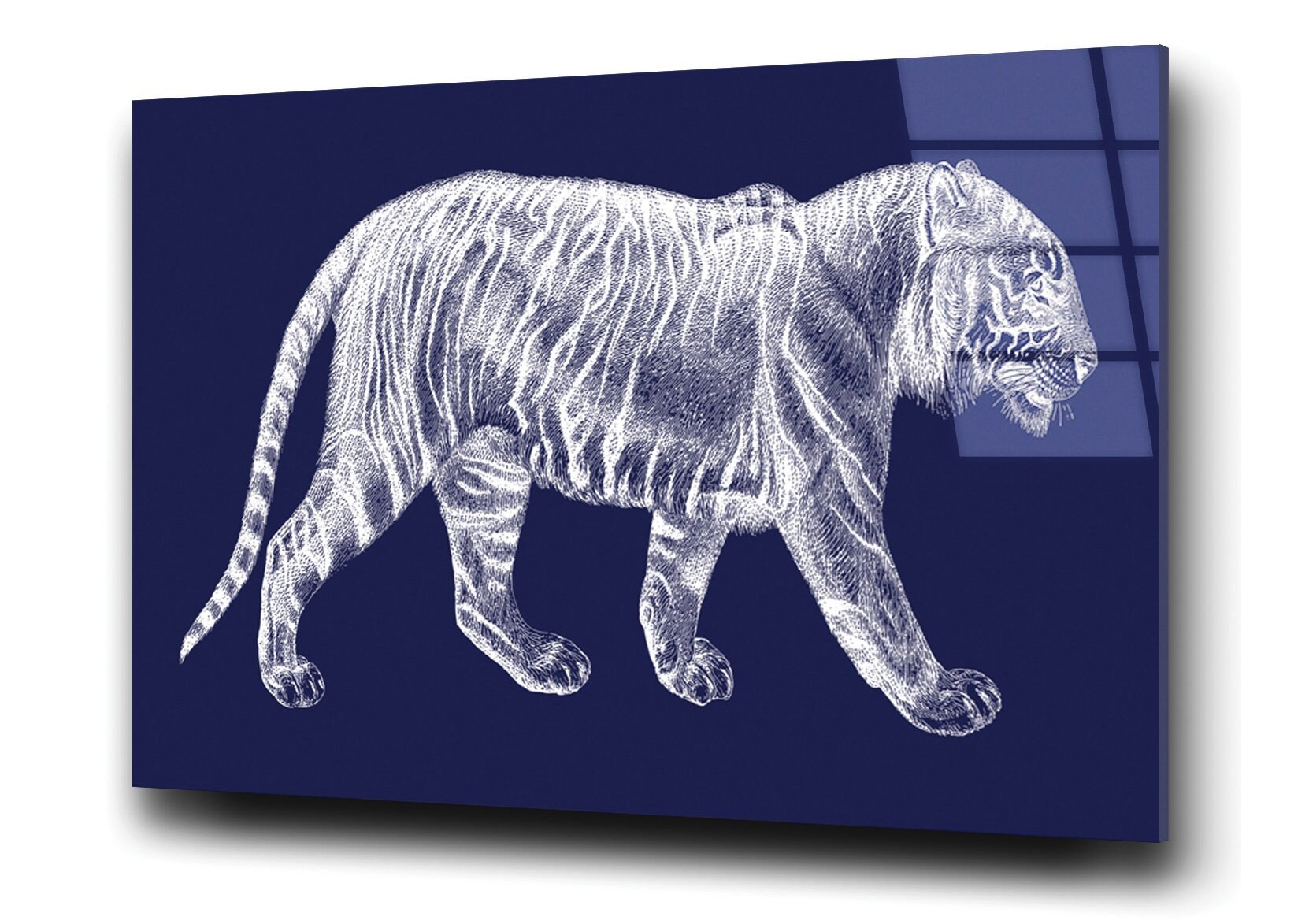 The X Ray Tiger Glass Print High Quality Art UV Printed On | Etsy