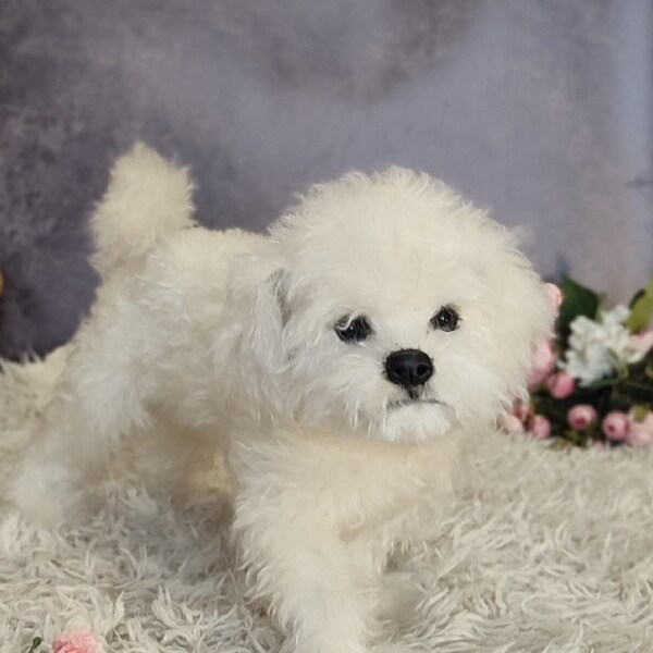 Realistic Poodle Plush - Etsy