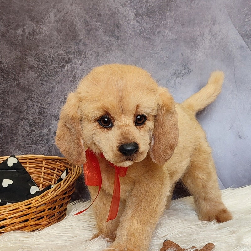 Realistic Dog - Etsy