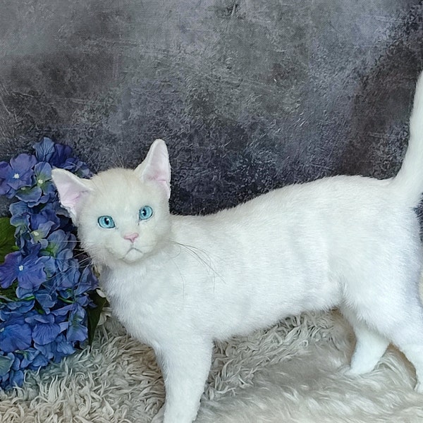 Realistic Cat - Etsy