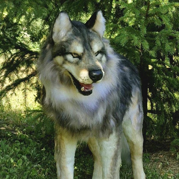 Wild Wolf Realistic Toys - Etsy UK
