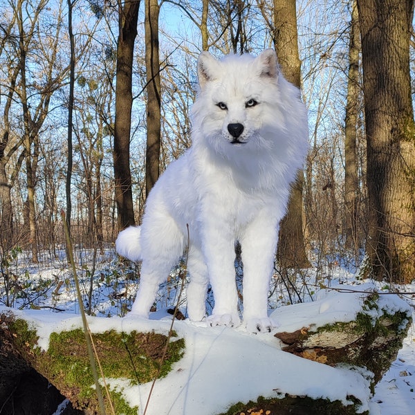 Realistic Wolf Plush - Etsy