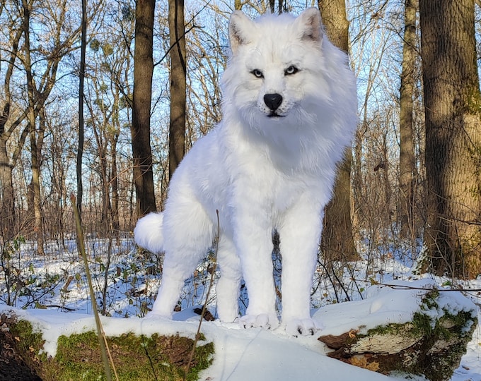 White Wolf Author's Realistic Interior Doll Soft Sculpture of Real Size ...