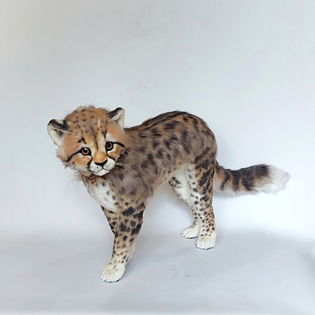 Cheetah Realistic Plush Kitten Artificial Stuffed Animal Author's Doll ...