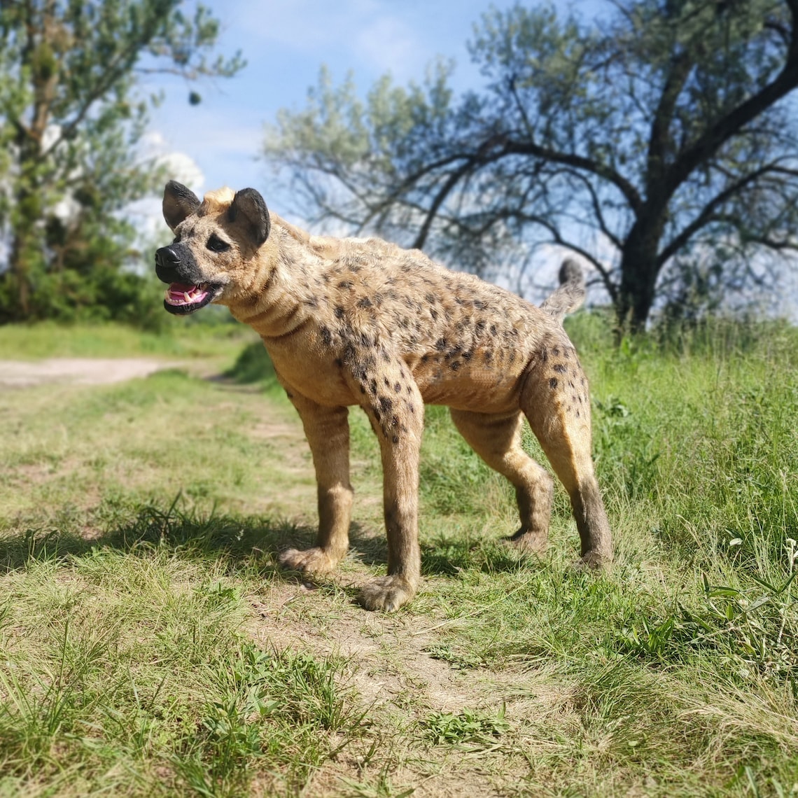 Spotted Hyena Realistic Art Doll Artificial Stuffed Animal - Etsy