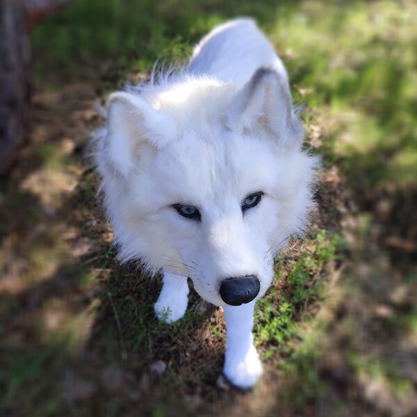 Wolf Doll - Etsy
