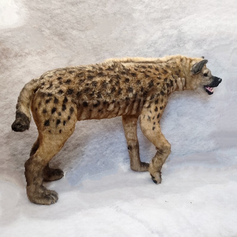 Spotted Hyena Realistic Art Doll Artificial Stuffed Animal | Etsy