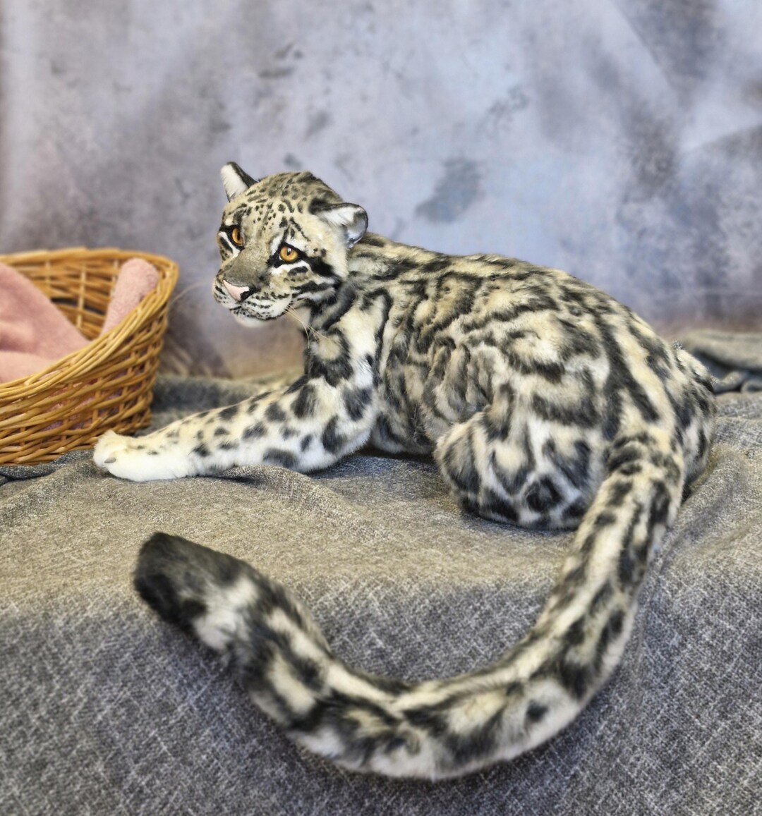 Clouded Leopard Realistic Wild Cat Author's Interior Doll Made of Plush OOAK - Etsy Australia