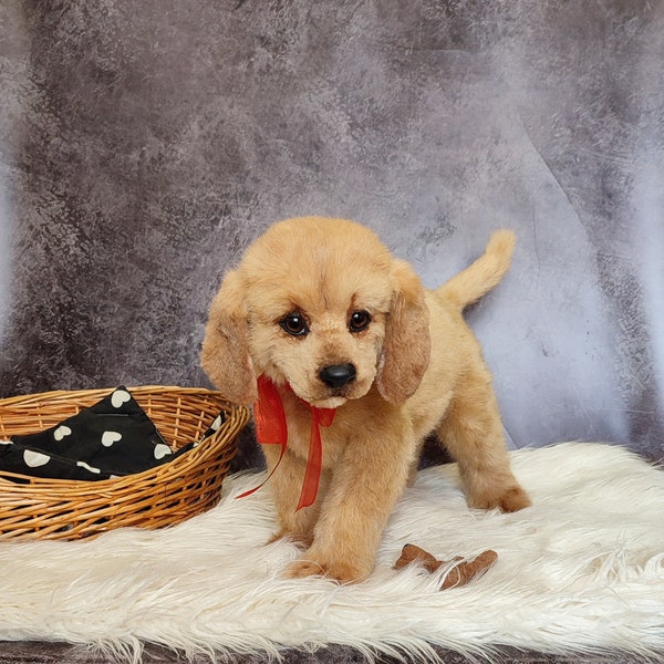 Realistic Stuffed Dogs - Etsy