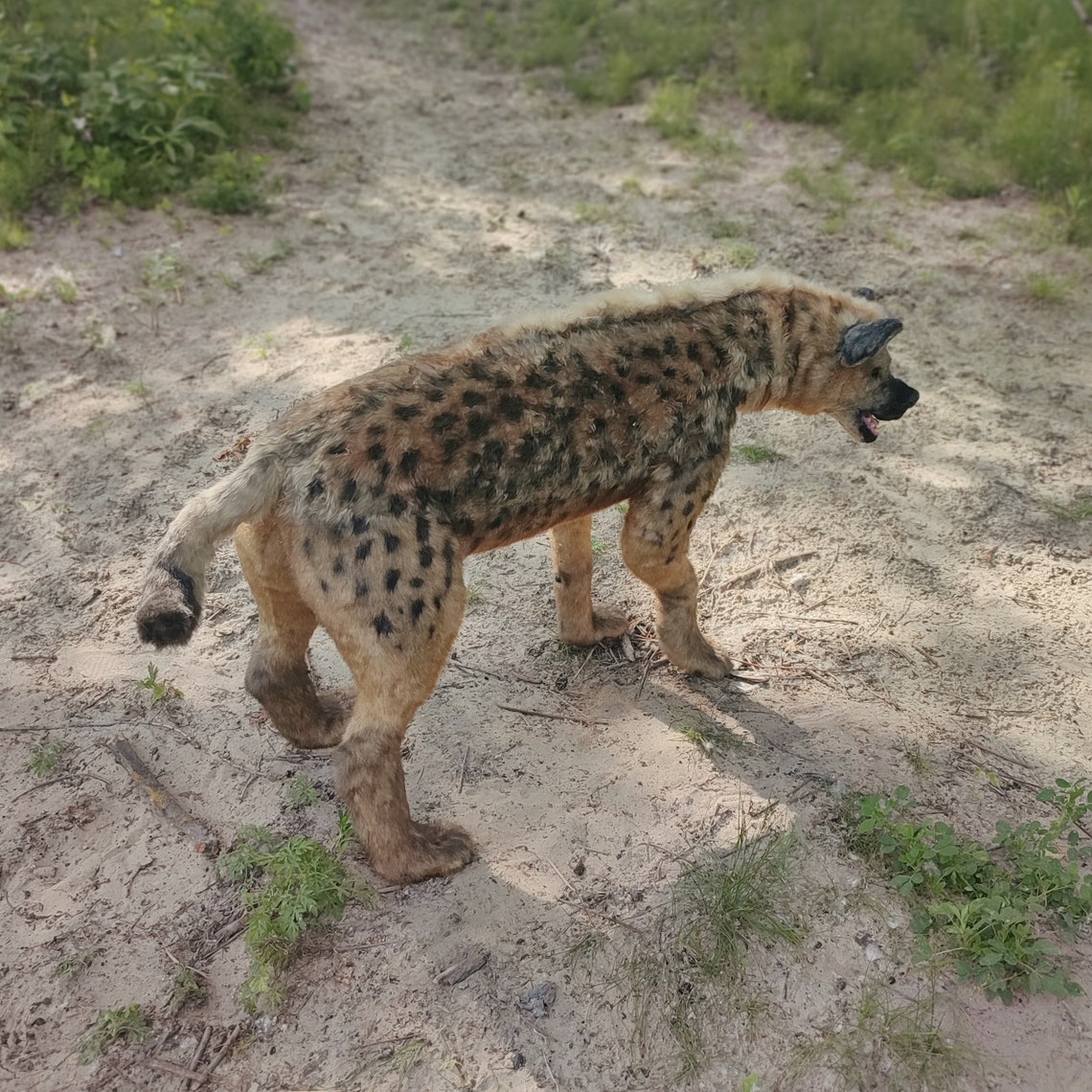 Spotted Hyena Realistic Art Doll Artificial Stuffed Animal - Etsy