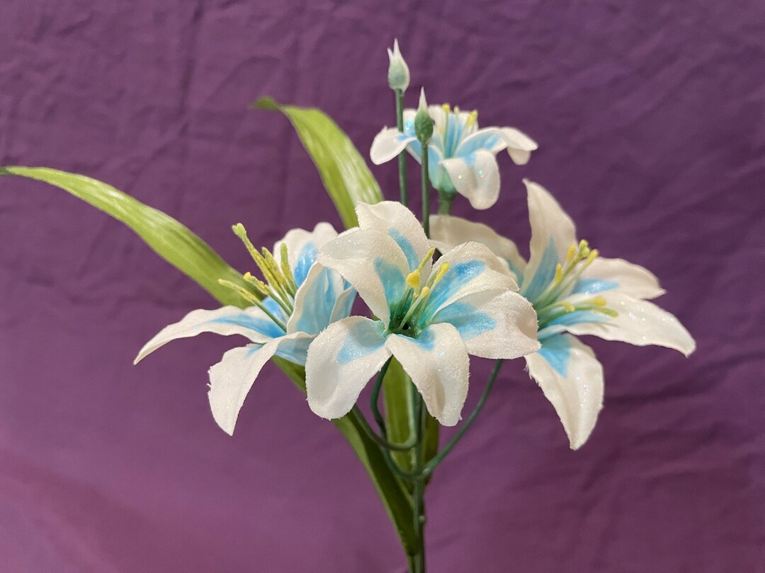 Silent Princess Flower GLOWS FOUR Blooms Zelda Tears of the Kingdom ...