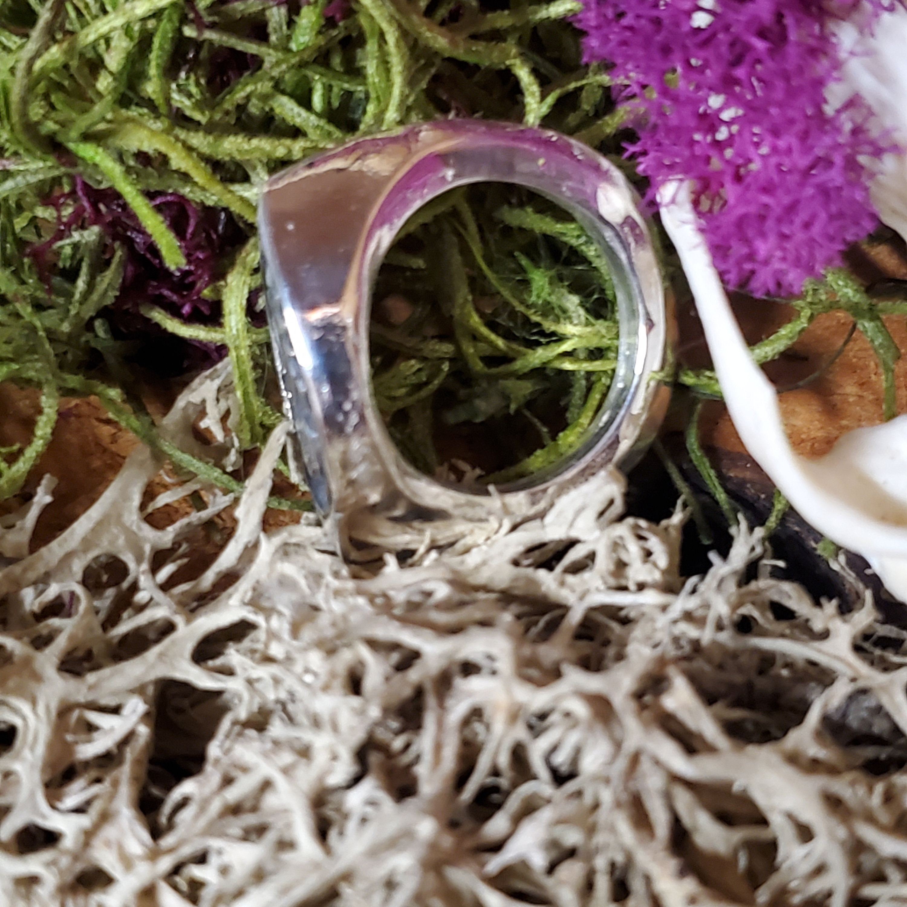 Gnostic Lion-headed Serpent Chnoubis Signet Ring Large - Etsy