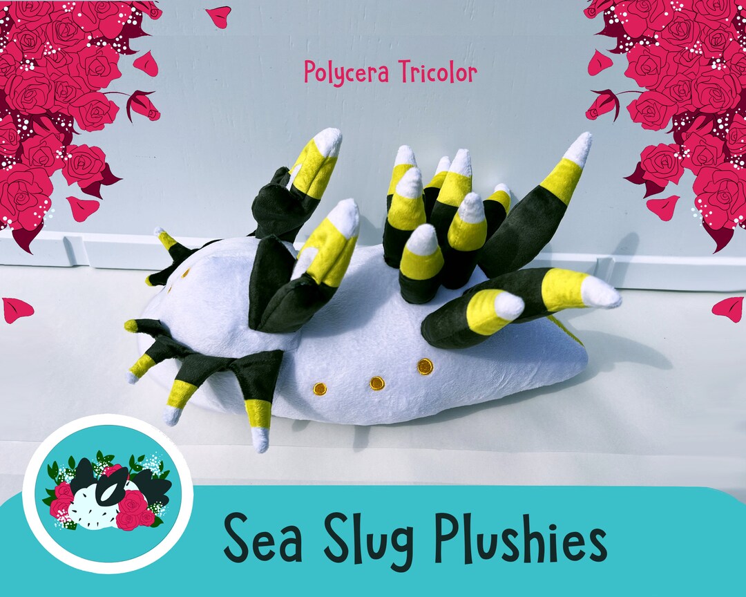 Sea Slug Plushie - Polycera Tricolor - Etsy