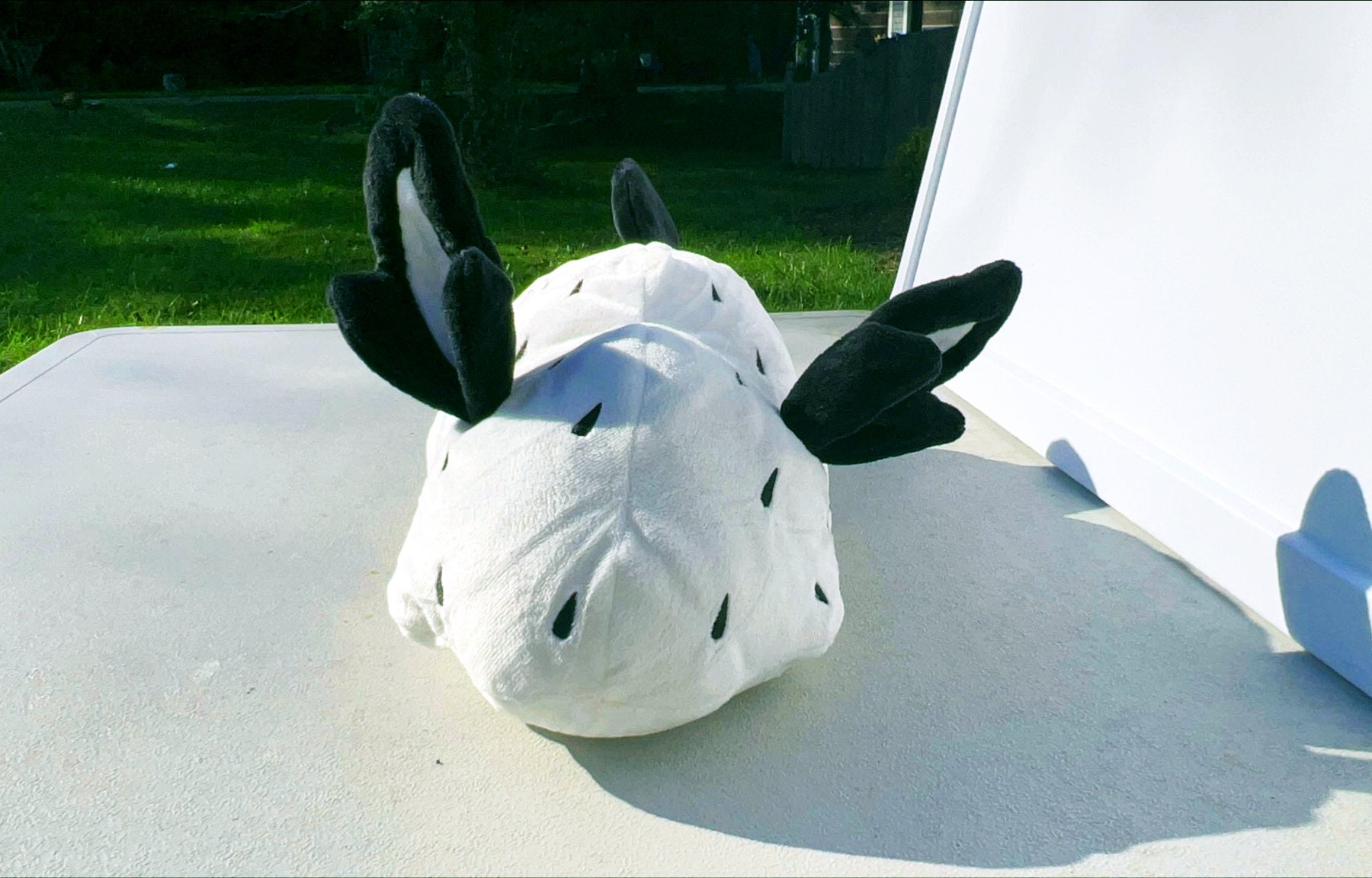 Sea Slug Plushie - Seabunny - Etsy