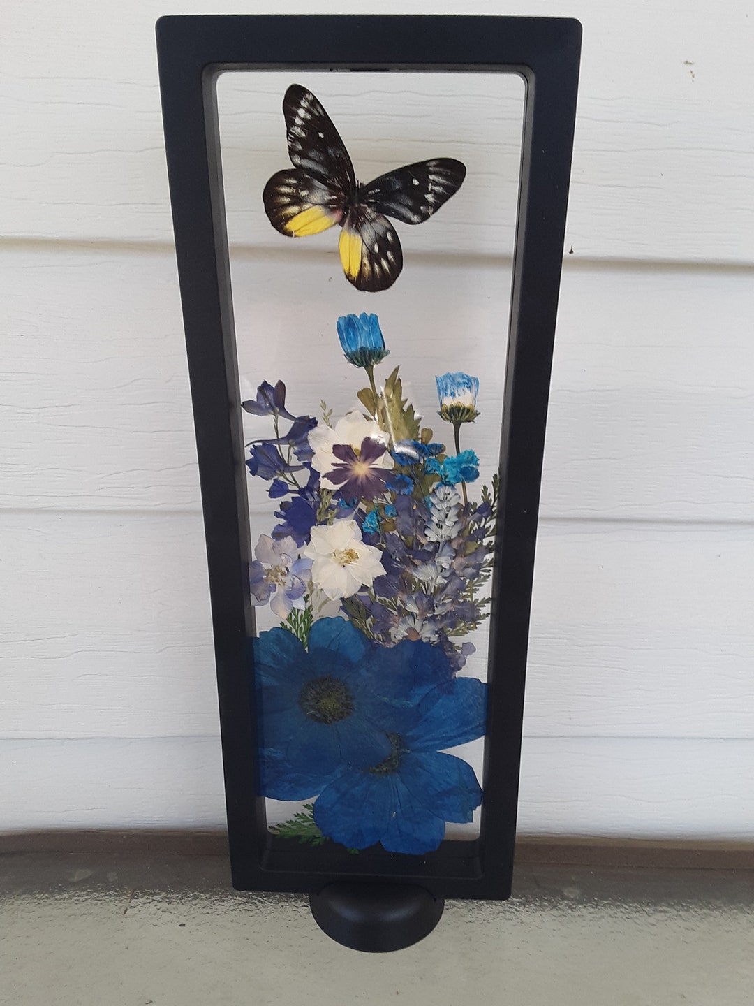3D Art Crystal Clear Framed Window Art Real Butterflies & Real - Etsy