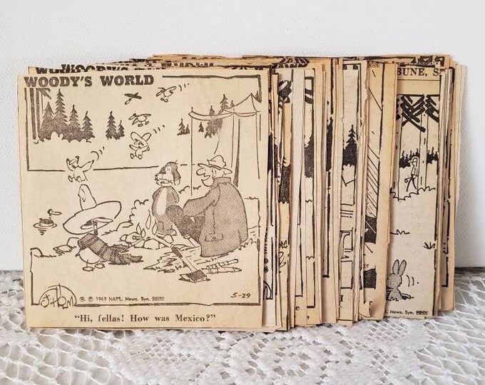 Woody's World - 1960s 1970s Daily Comic - John Holm - American ...