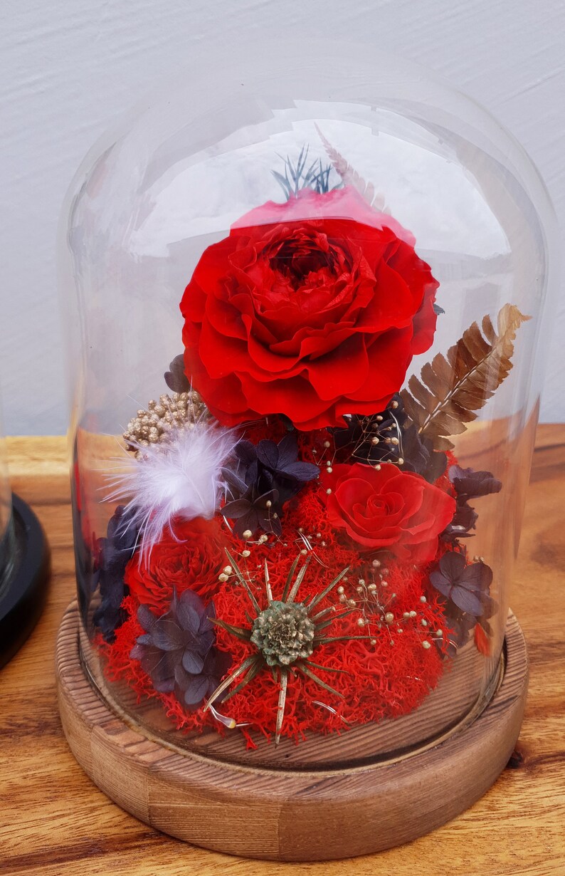 Everlasting Rose Dome / Forever Flowers / Everlasting - Etsy Australia