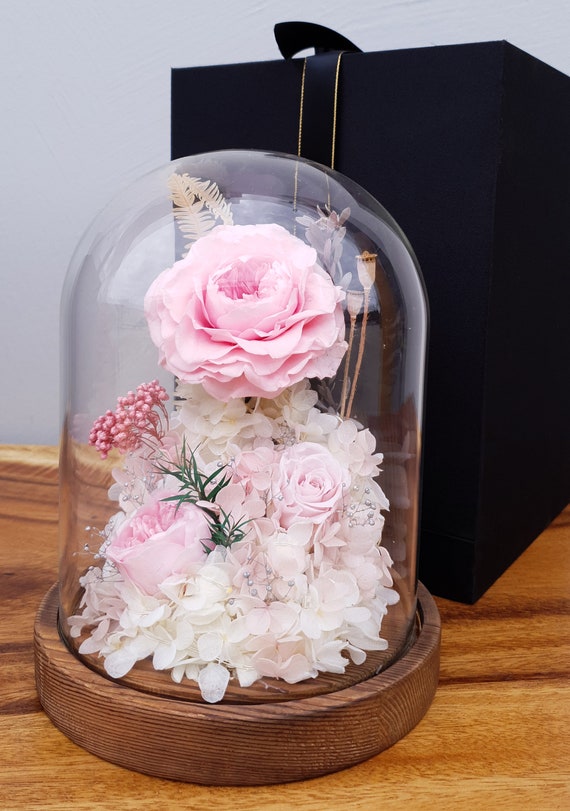 Everlasting Rose Dome / Forever Flowers / Everlasting - Etsy Australia