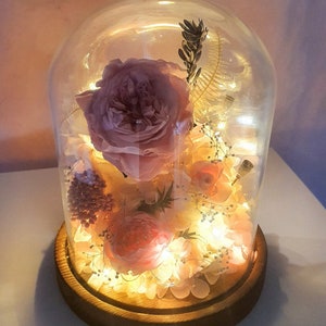 Everlasting Rose Dome / Forever Flowers / Everlasting Preserved Flower ...