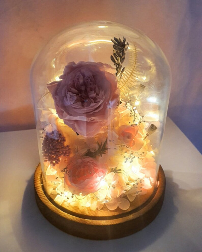 Everlasting Rose Dome / Forever Flowers / Everlasting - Etsy Australia
