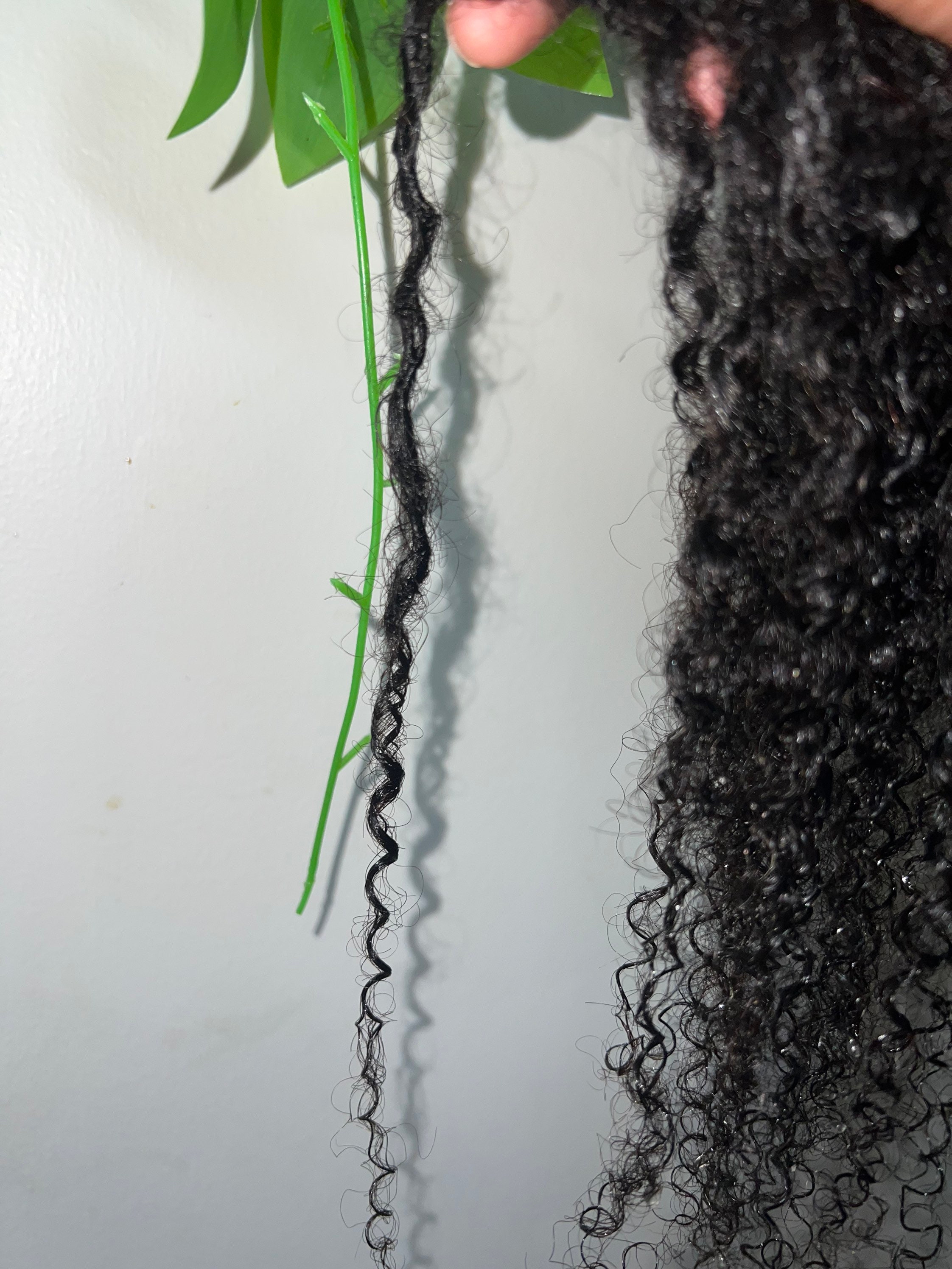 Afro Kinky Curly Human Sista Loc Extensions - Etsy