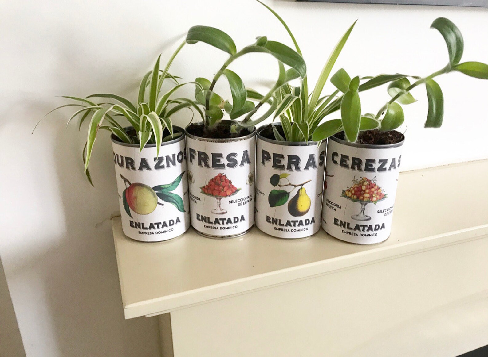 Vintage Can Labels Set of 4 Digital Download - Etsy