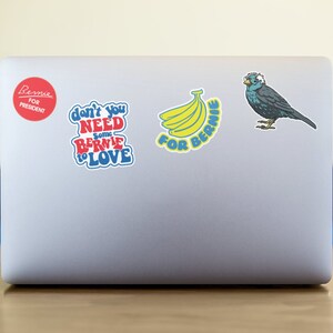 Bernie Sanders Stickers / 4 Pack of Bernie 2020 Stickers / Birdie ...
