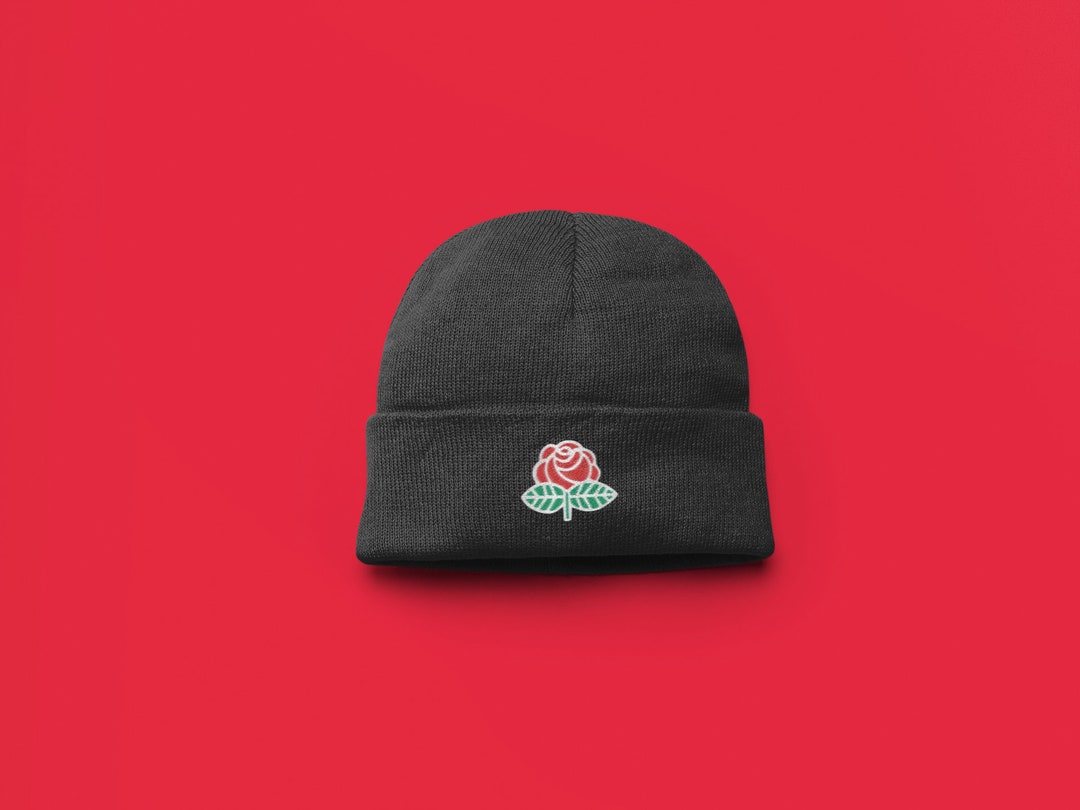 DSA Beanie / Democratic Socialists of America / Beanie / Progressive ...