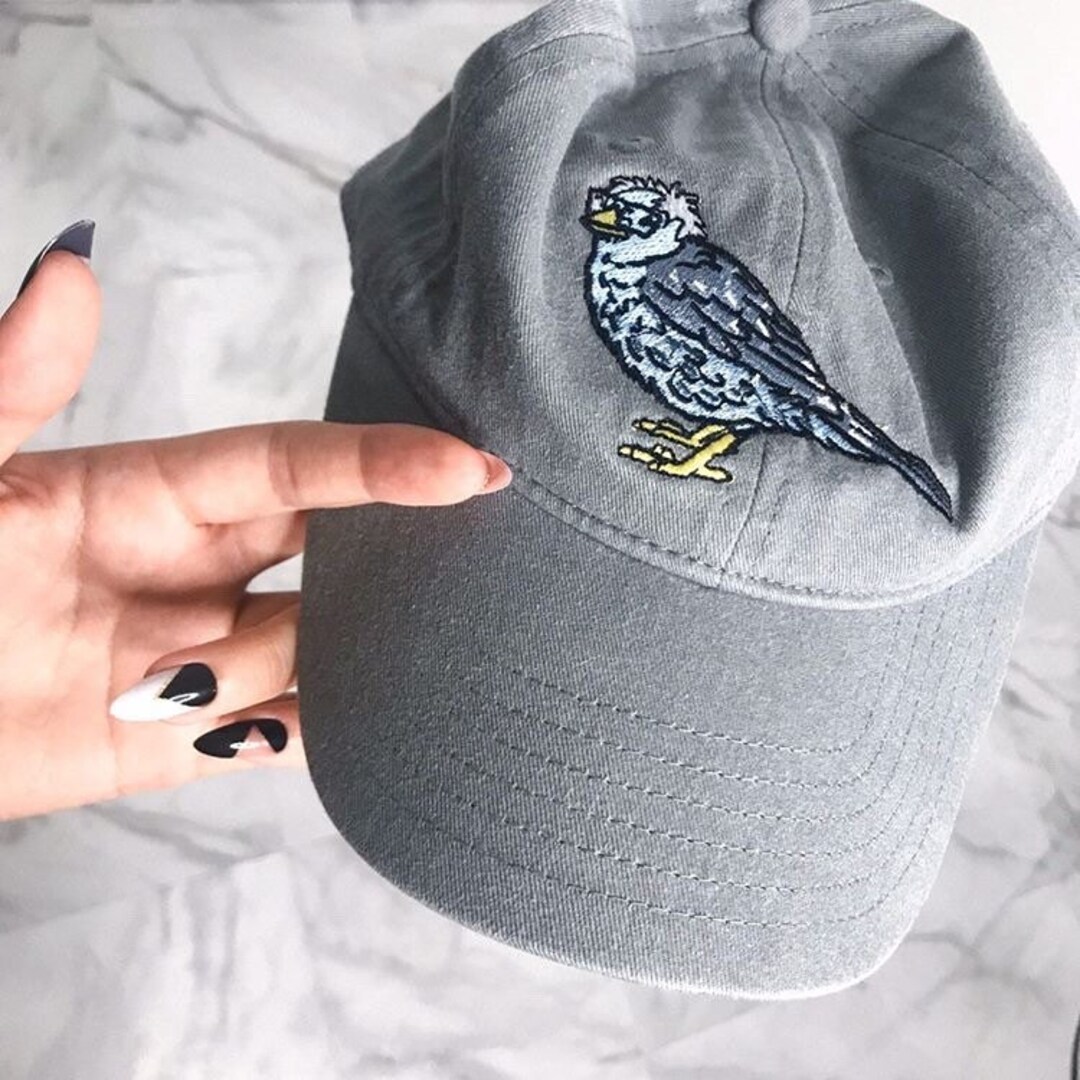 Bernie Sanders Hat, Birdie Sanders, Feel the Bern, Socialist Hat, DSA ...