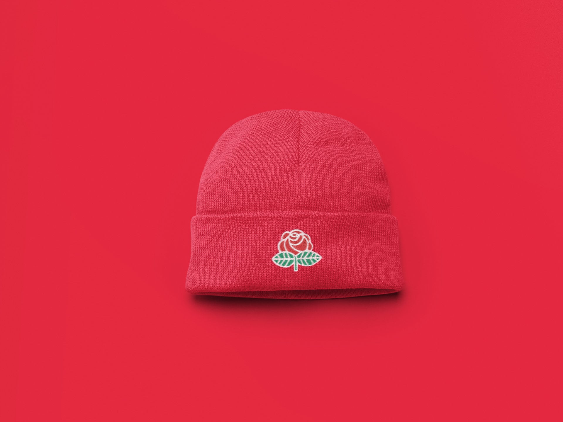 DSA Beanie / Democratic Socialists of America / Beanie / | Etsy