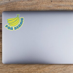 Bernie Sanders Stickers / 4 Pack of Bernie 2020 Stickers / Birdie ...