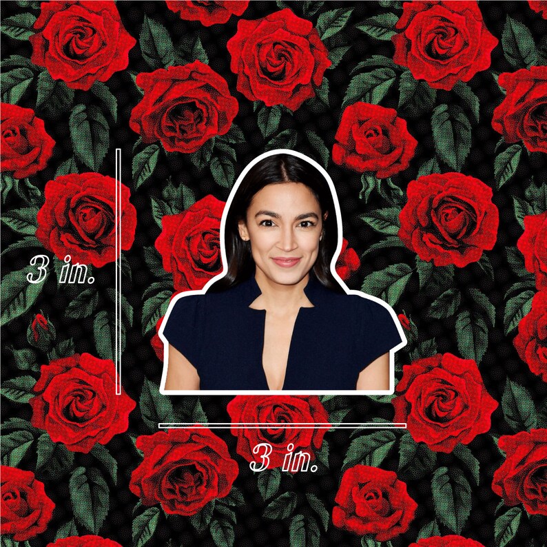 2 AOC Magnets / Alexandria Ocasio-cortez / Refrigerator Magnet - Etsy