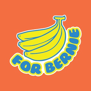Bernie Sanders Stickers / 4 Pack of Bernie 2020 Stickers / Birdie ...