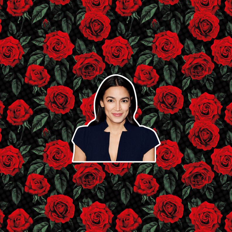 2 AOC Magnets / Alexandria Ocasio-cortez / Refrigerator Magnet - Etsy