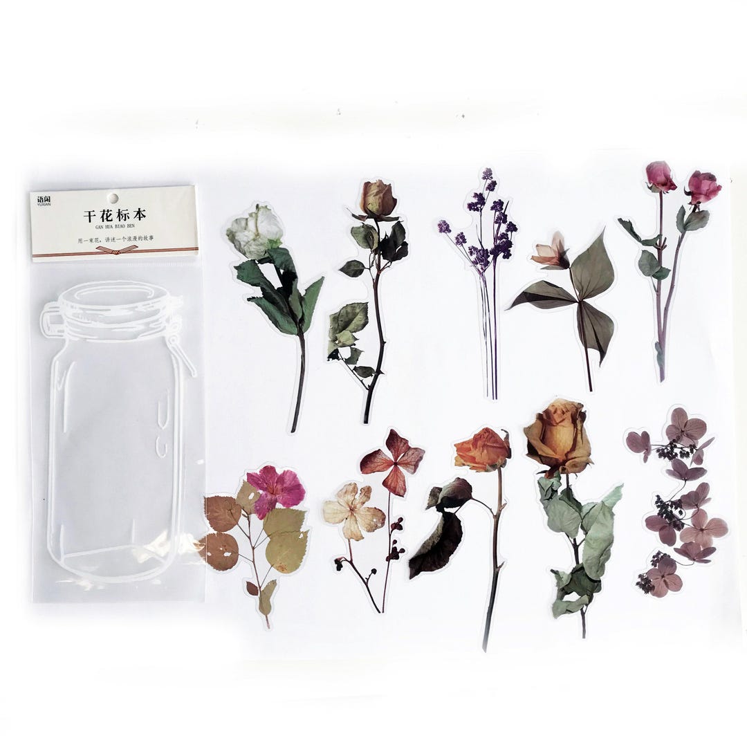 Large Pretty Rose Flowers and Foliage Clear Transparent Plastic Peel ...