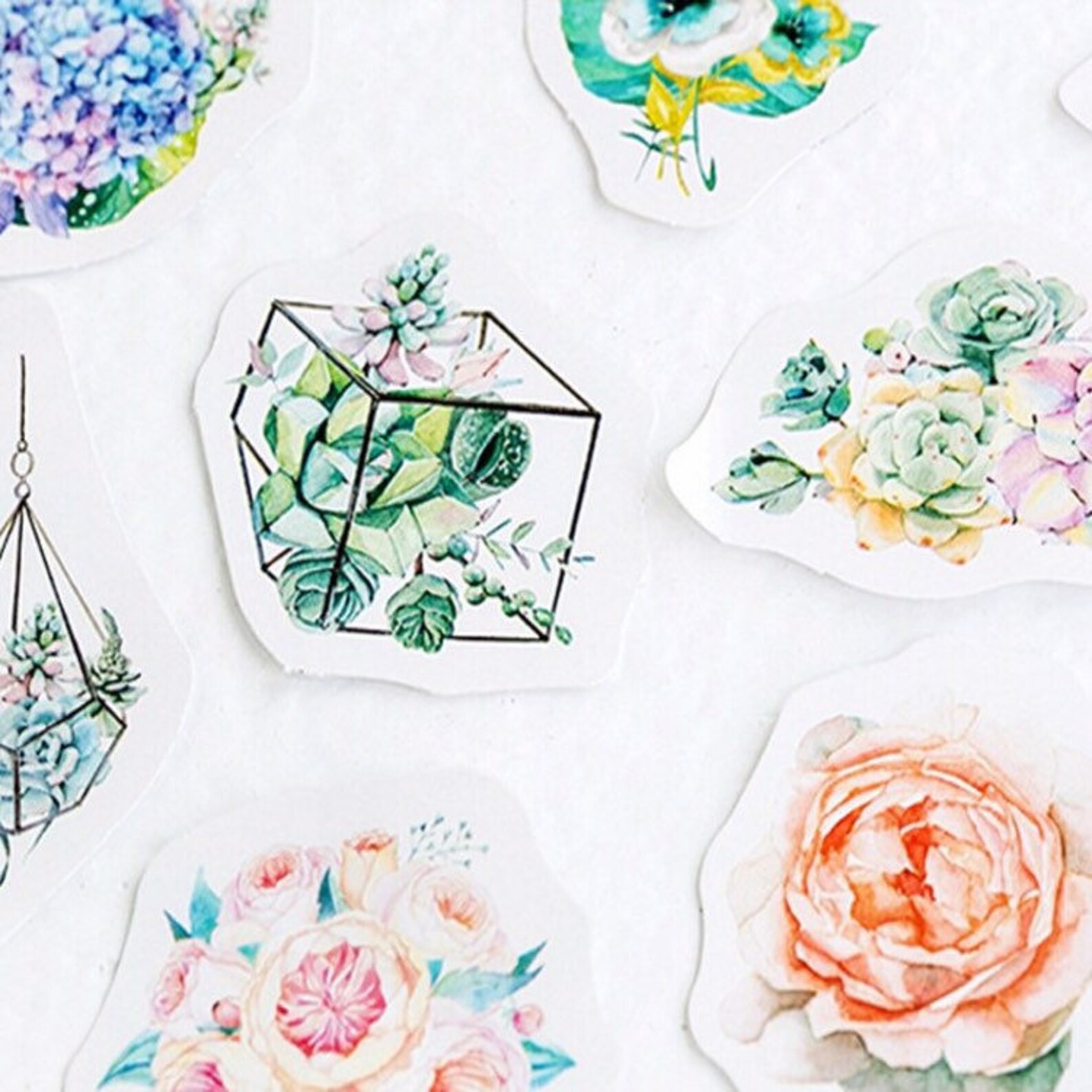 Set of 46 Pretty Flowers & Plants Botanical Mini Box Stickers - Etsy