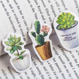 Set of 50 Cactus Cacti Succulents House Plant Mini Box Stickers Peel ...