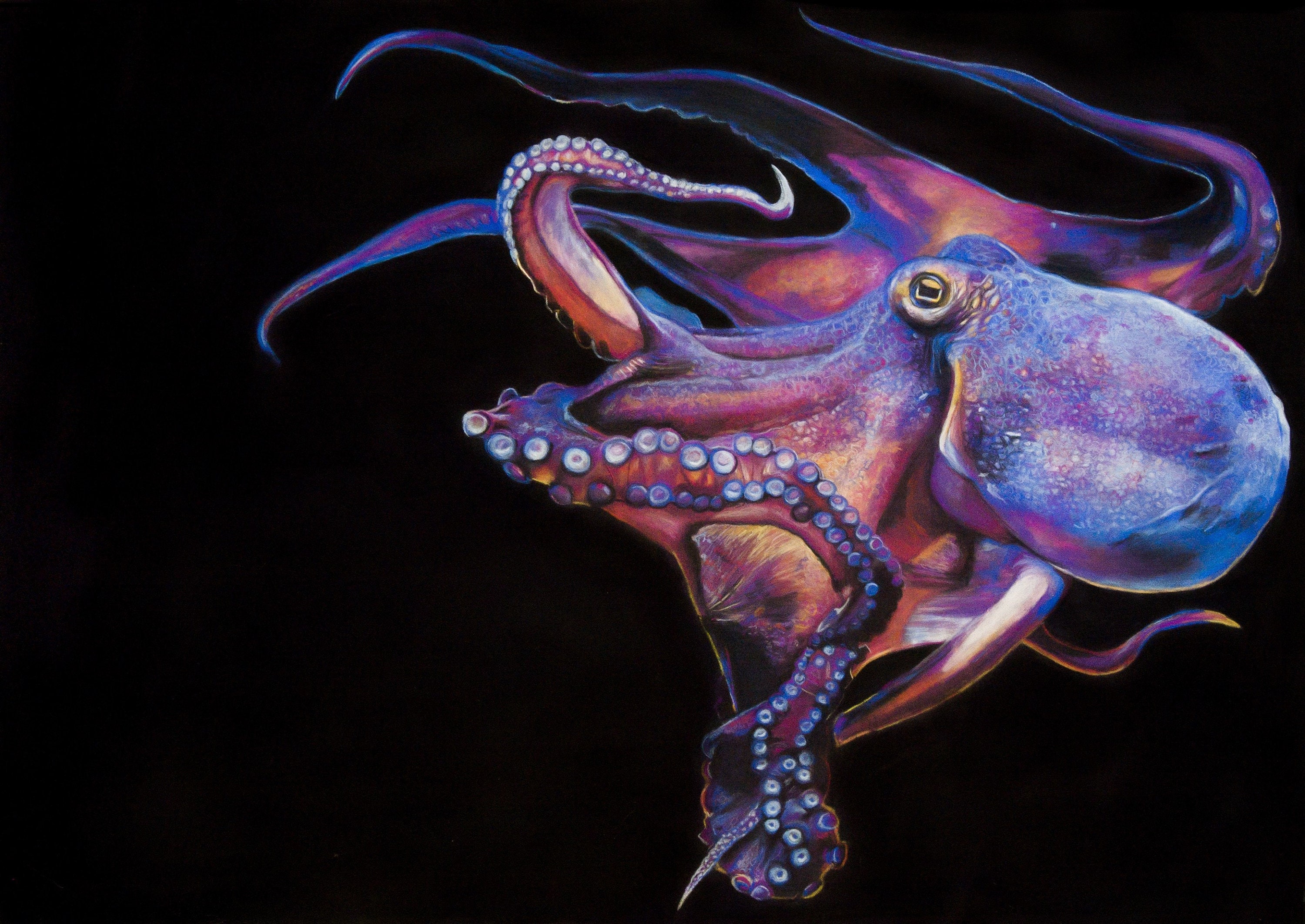 Colourful Octopus Painting - Etsy UK