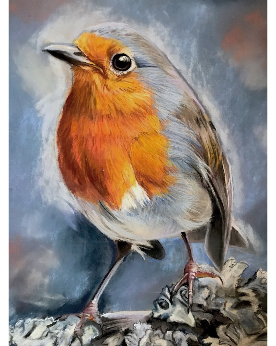 Little Red Breasted Robin - Etsy