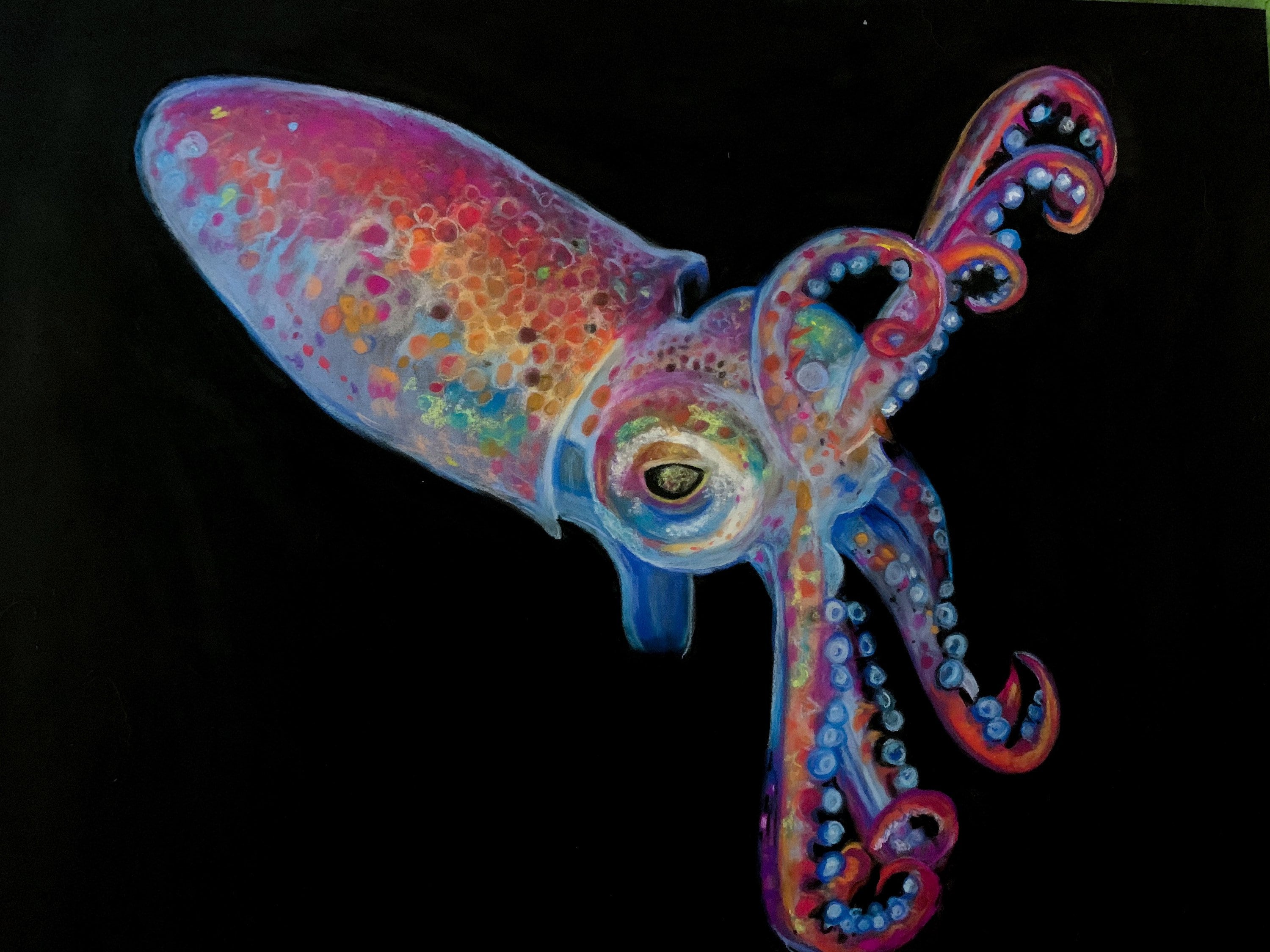 Watercolor Vampire Squid Watercolour Painting Sea Life Art Deep Sea ...