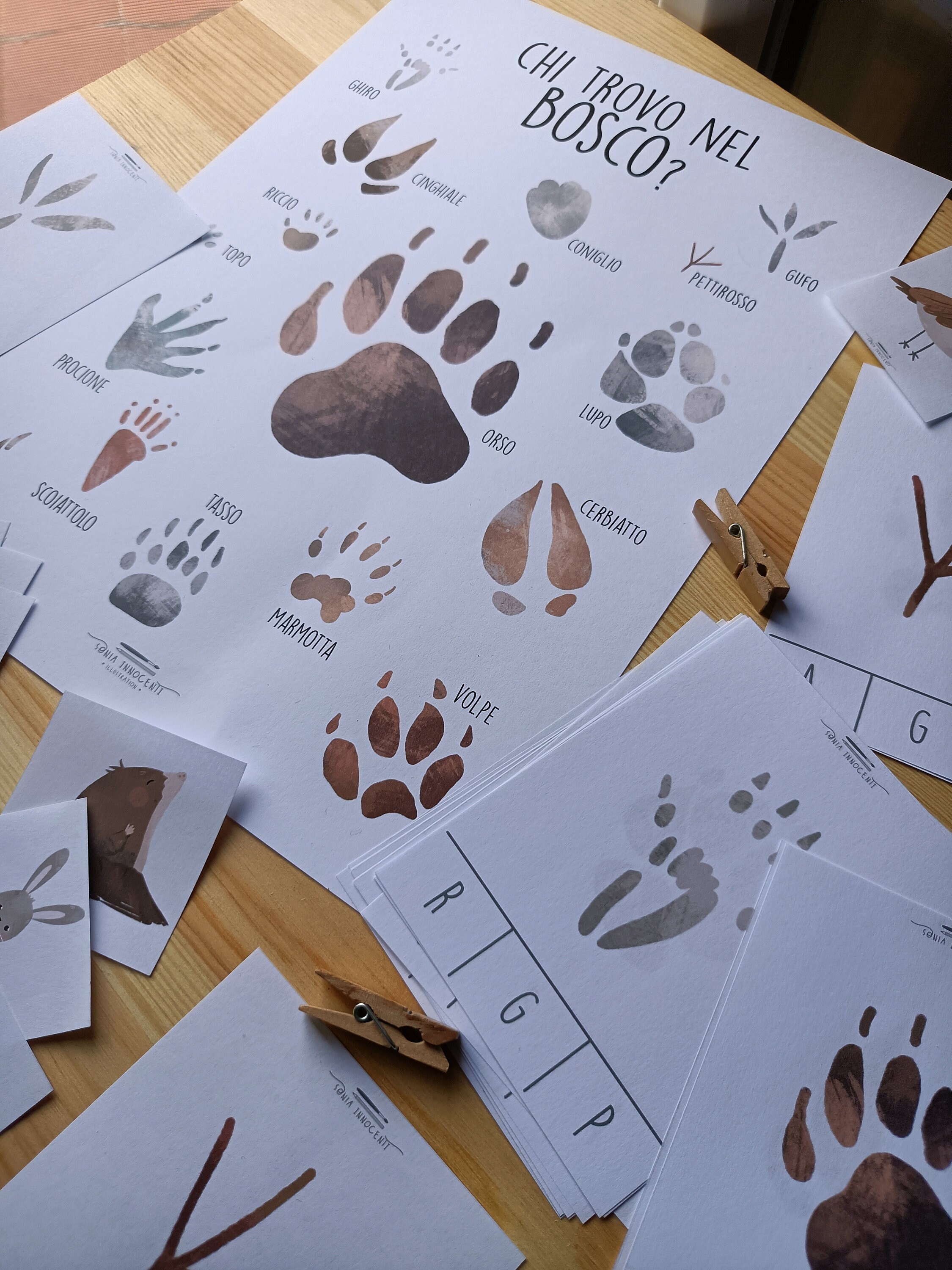 Footprints BUNDLE - Flashcards, Posters and PDF Games - Etsy