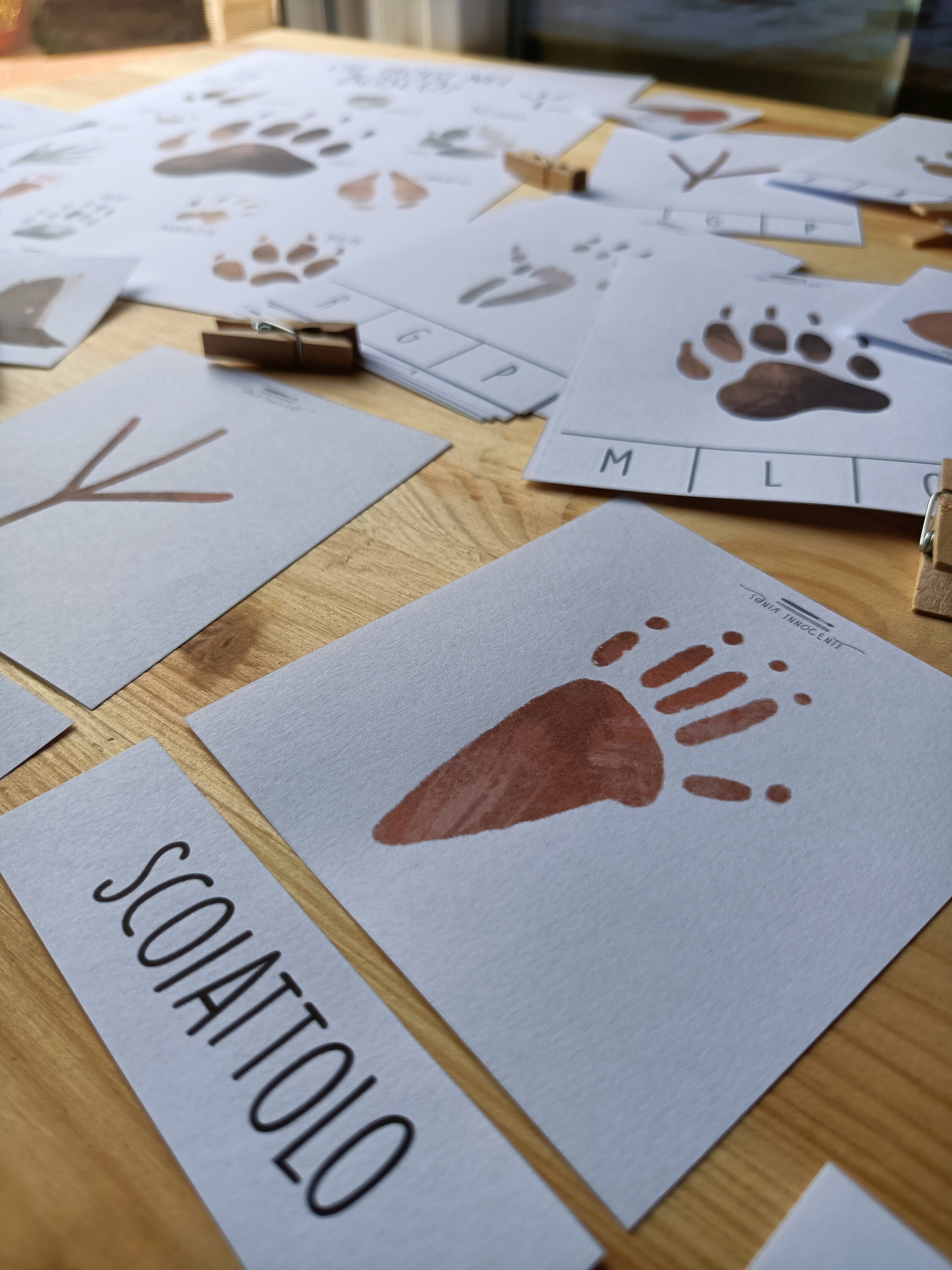 Footprints BUNDLE - Flashcards, Posters and PDF Games - Etsy