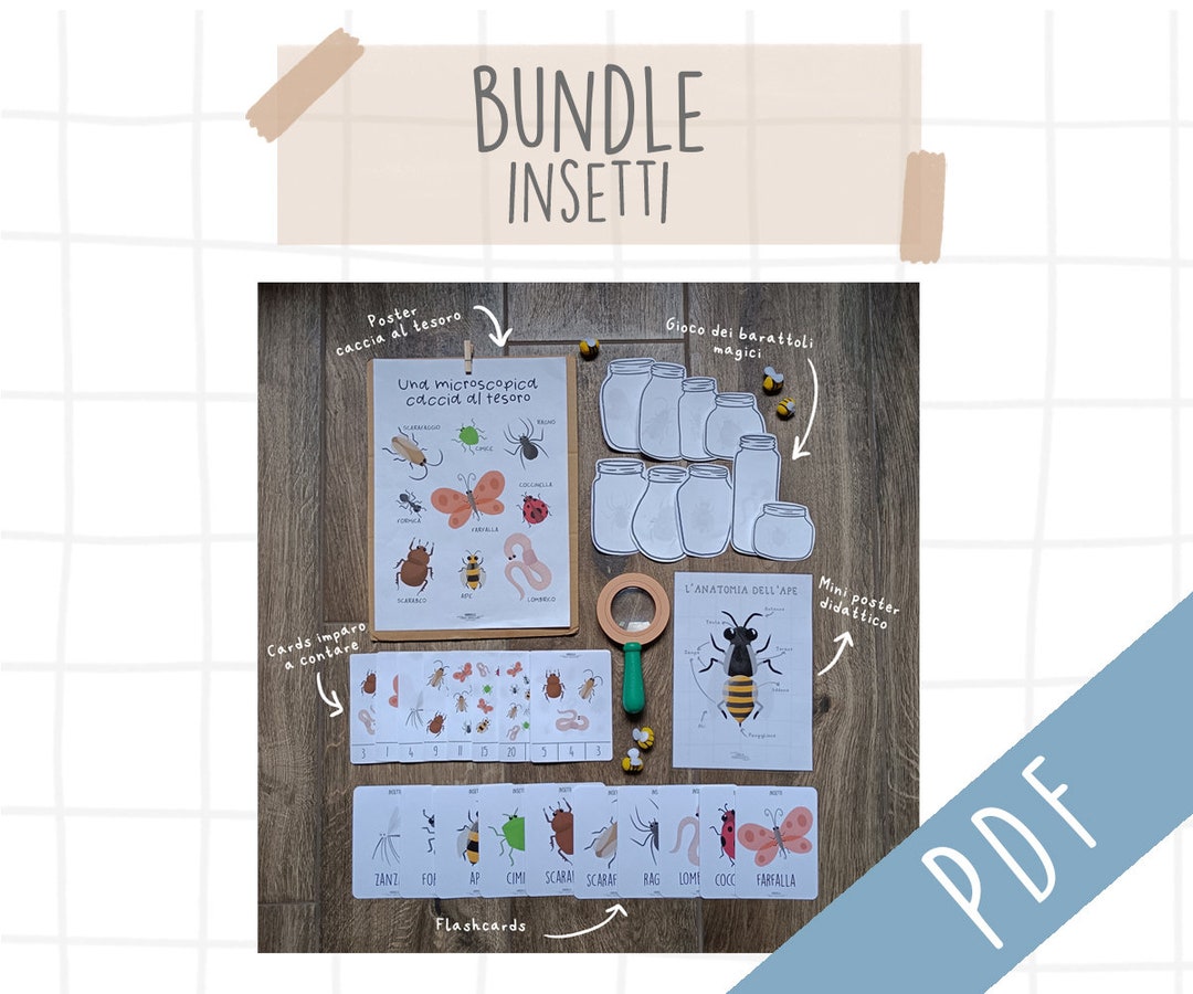 BUNDLE Insects - Flashcards, Posters and Games PDF - Etsy