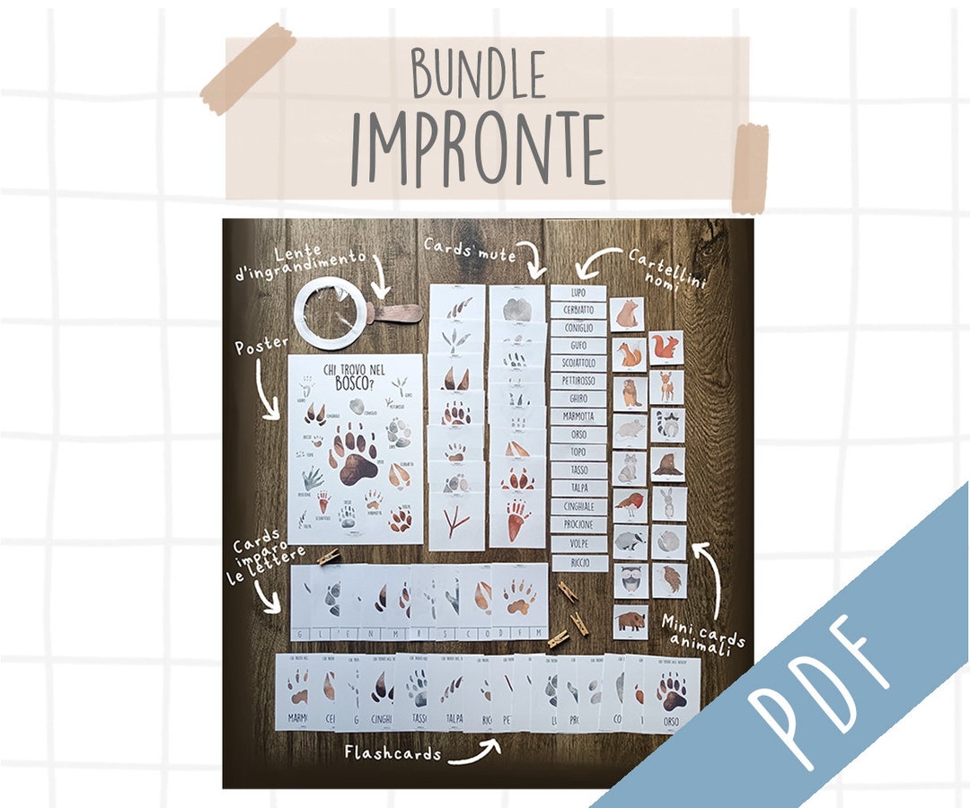 Footprints BUNDLE Flashcards, Posters and PDF Games - Etsy