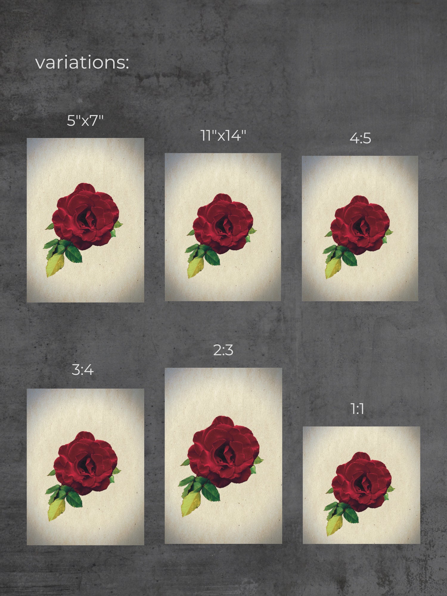 Red Rose Printable Art - Etsy